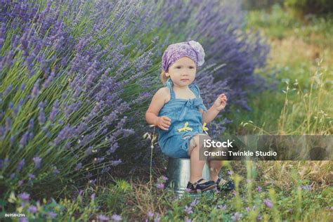 젊은 아름다움 자식 여자 Lavander 부시 입고 청바지 드레스와 신비주의 갈색 눈을 가진 보라색 자주색 두건 센트럴 파크에서 풀밭에서 포즈 8월에 대한 스톡 사진 및