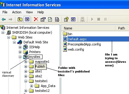 Net Unable To Access A Published Asp Net Site In IIS From Browser
