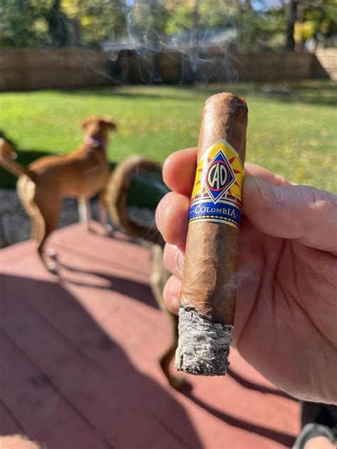 Is There A Repository Of Codesignal Q4s Rcsmajors