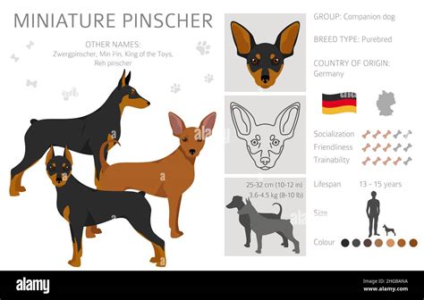 Min Pin Colours
