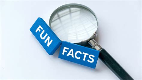 200 Weird Fun Facts Most People Dont Know Owlcation