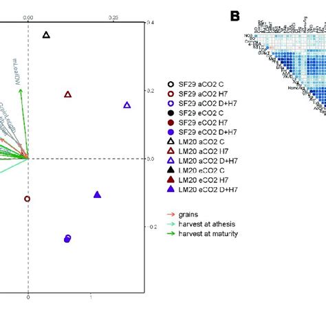 Multivariate Statistical Analyses Of Yield Related Parameters A