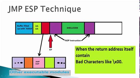 Offensive Hacking And Exploitation Part 42exploiting Minishare 141