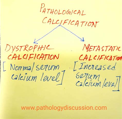 Faq On Pathologic Calcification Dystrophic Calcification Metastatic
