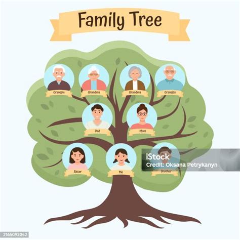 3 세대의 가계도 조부모 부모 자식 벡터 일러스트 레이 션 가계도에 대한 스톡 벡터 아트 및 기타 이미지 가계도 가족 계보학 Istock