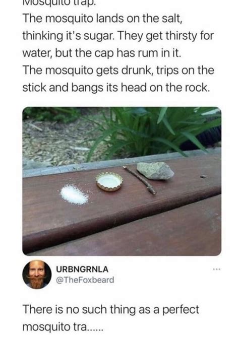 Mosquito Trap Meme By Meh Memedroid