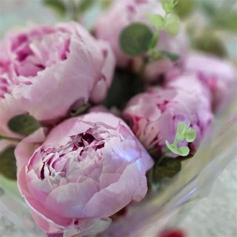 Ellamamy • Threads Say More