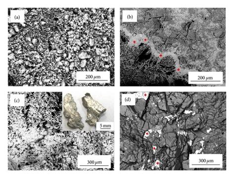 A SEM Image Of TiO2 Powders Before Electrolysis SEM Images Of The Download Scientific
