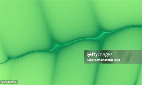 Leaf Projection Photos And Premium High Res Pictures Getty Images
