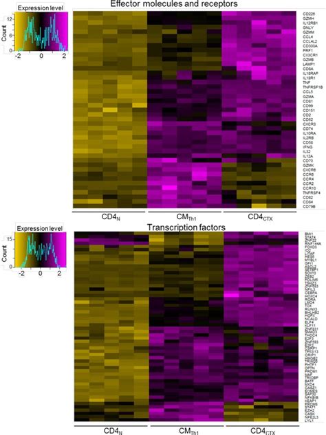 Figures And Data In The Transcription Factors Runx3 And Thpok Cross