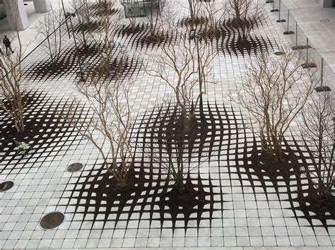 The Way These Trees Were Planted Landscape Architecture Design
