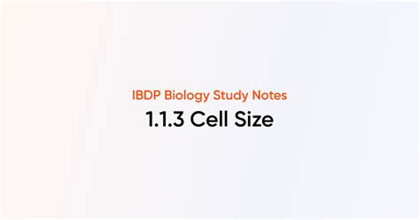 Cell Size 113 Ib Dp Biology Notes Tutorchase