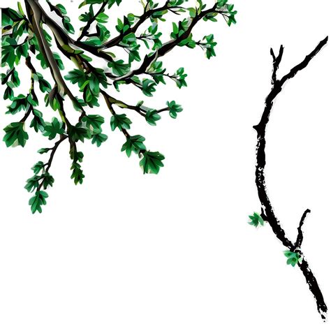 Oak Tree Branches Png 53 Png Image