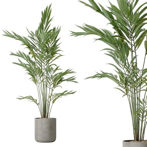 Av Indoor Plants Set 188 386629 3d Model Download 3d Model Av