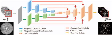 Figure 3 From Algorithm For Retinal Vessel Segmentation Based On Axial
