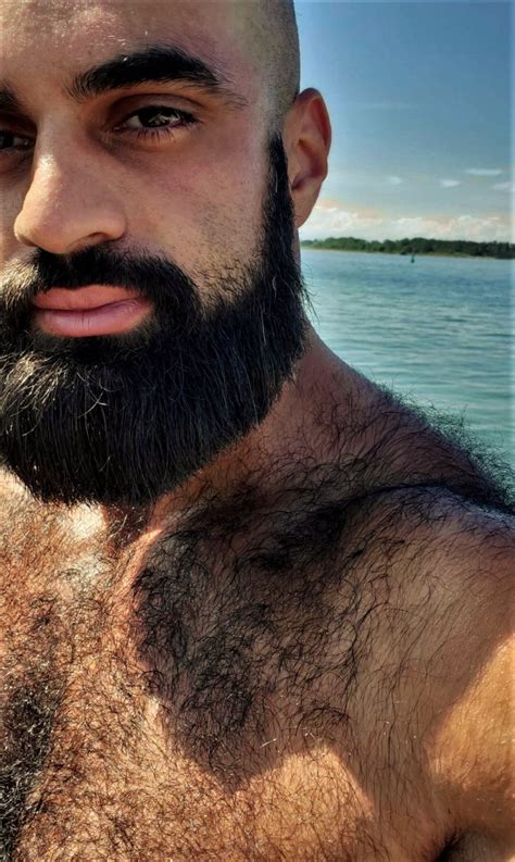 Images Reblogged From Littleotter4hairyman Gorillahairy On Tumblr