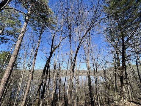 Hollis Trail 174 Arkansas Off Road Trail Map And Photos Onx Offroad