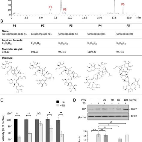 Pns Compound Identification And Cell Viability Test A Hplc Download Scientific Diagram
