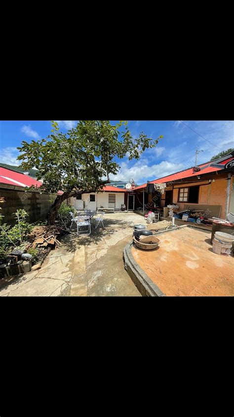 시골집 한옥 전원주택 귀농 귀촌 시골 한달살기 힐링 촌캉스 8천 5백 경남 남해 감성 바닷가 시골집 매매 경남 남해 감성 시골집 매매 바닷가 촌집 매매 대지 40평