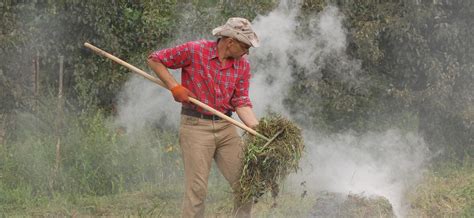 Государственные учреждения виды задачи бюджеты казенных и автономных организаций