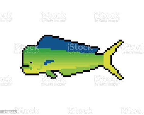 도라도 피쉬 픽셀 아트 8 비트 마히 마히 픽셀화 벡터 일러스트레이션 0명에 대한 스톡 벡터 아트 및 기타 이미지 0명