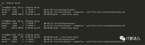 Mysql Mgr集群问题处理及数据迁移 墨天轮