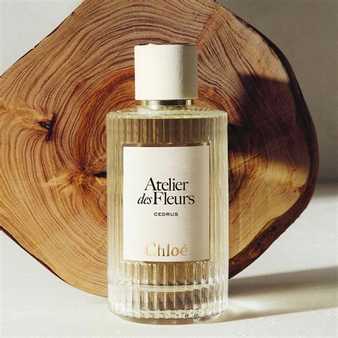 Chloe Парфюмерная вода Cedrus 50 мл купить по цене 12835₽ в ЛЭТУАЛЬ