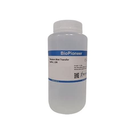 Western Blot Transfer Buffer 10x Biopioneer