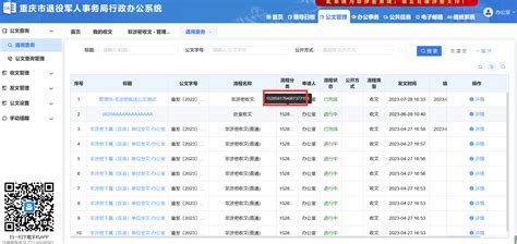 BUG 公文查询 通用查询列表中展示流程分类信息显示有误获取的是ID编号 退役军人后台 禅道
