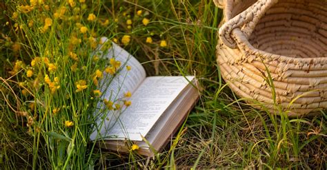 고요한 길들이지 않는 꽃 꽃무늬 꽃이 피는 노란 꽃 녹지 농촌의 독서하는 러스틱 레저 명상적인 목가적 인 목가적인 문학 바구니 봄 상쾌한