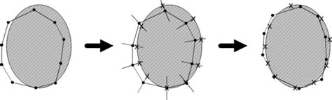 Segmentation Procedure With The Active Shape Model For One Iteration Download Scientific
