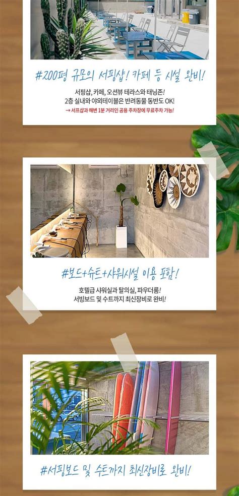 양양 양양에서 서핑 배우기 드리프터 서핑 입문자 강습 렌탈 최저가 액티비티 인기상품 Nol