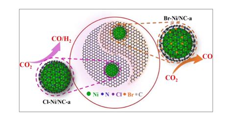 Halogennitrogen Codoped Carbon Encapsulated Ni Nanoparticles For