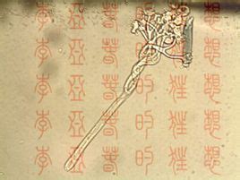 莴苣霜霉图册 360百科
