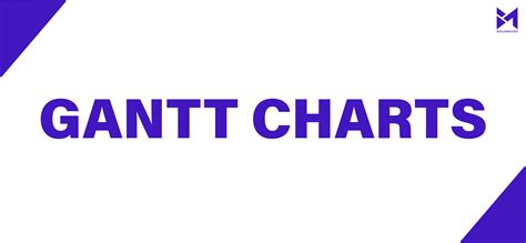 Top 11 Reasons Why Using Build Macro Is Essential For Builders Contractors Like You