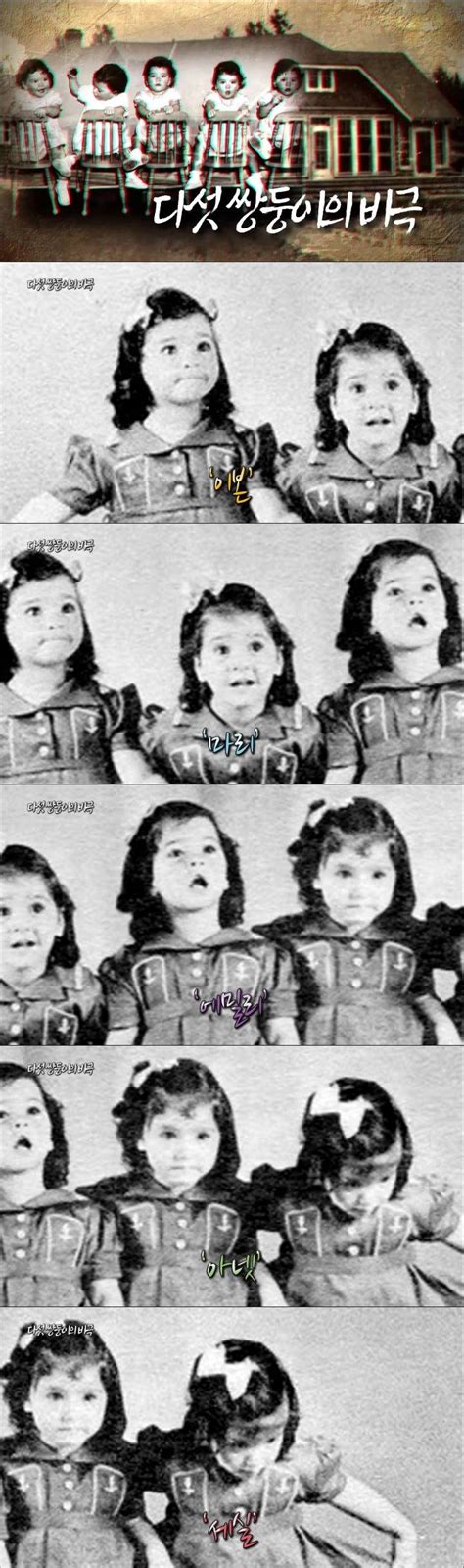 태어날 때부터 구경거리로 전시된 다섯 쌍둥이의 비극 스토리 인스티즈 Instiz 이슈 카테고리