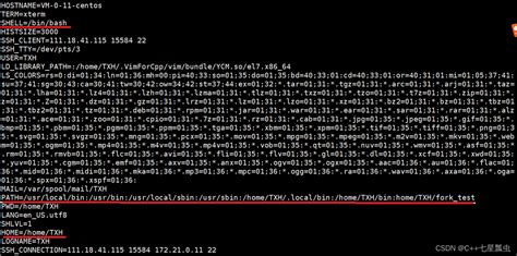 Linux 进程环境变量详解 Csdn博客