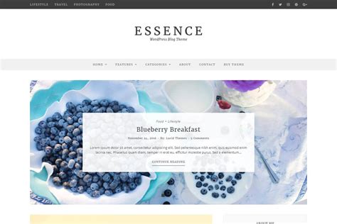 时尚博客皮肤网站模板 Essence Wordpress Blog Theme 云瑞设计