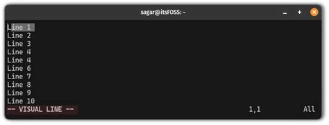 Select All In Vim Quick Tip