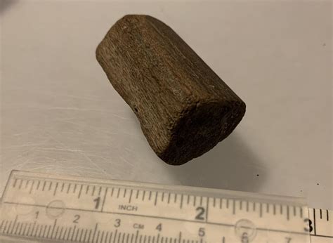 Identification Help R Fossils