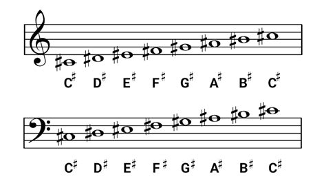 C Sharp Major On Piano Scales Chords And Exercises Oktav
