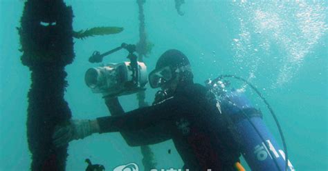 홍도 선박계류 부이 점검