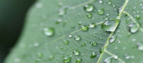 Pin By Emma Laurie On Visual Elements Texture Photography Elements Of Art Line Photography