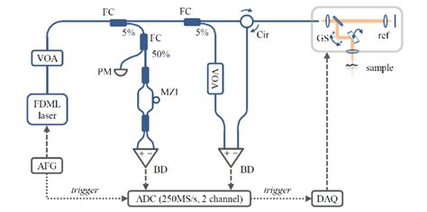 Oct Setup Consisting Of The Fdml Laser As Light Source Variable Download Scientific Diagram