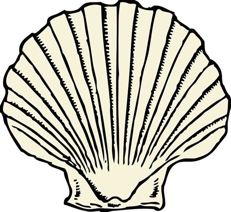Download Scallop Clam Shell Royalty Free Vector Graphic Pixabay