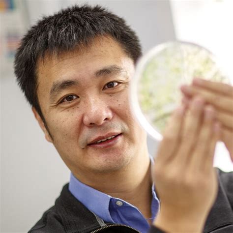 Bin Yu School Of Biological Sciences Nebraska