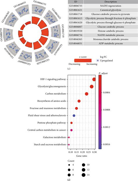Figure 1 From Hypoxia Related Signature Is A Prognostic Biomarker Of Pancreatic Cancer