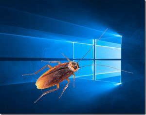 Windows Bug Bruceb Consulting