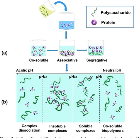 Figure 1 From Maillard Type Proteinpolysaccharide Conjugates And Electrostatic Protein