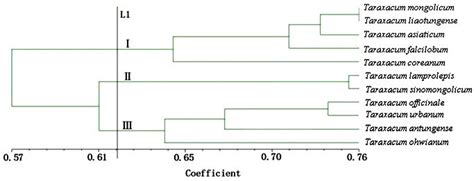 An Un Weighted Pair Group Method With Arithmetic Averages Upgma